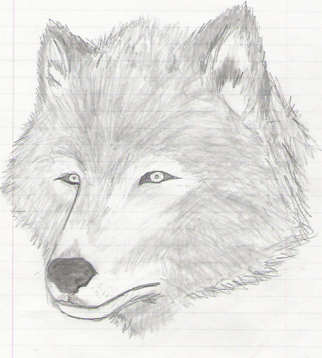 My Wolfy Piccy By Kankurosdoll On DeviantArt my-wolfy-piccy-by-kankurosdoll-on-deviantart