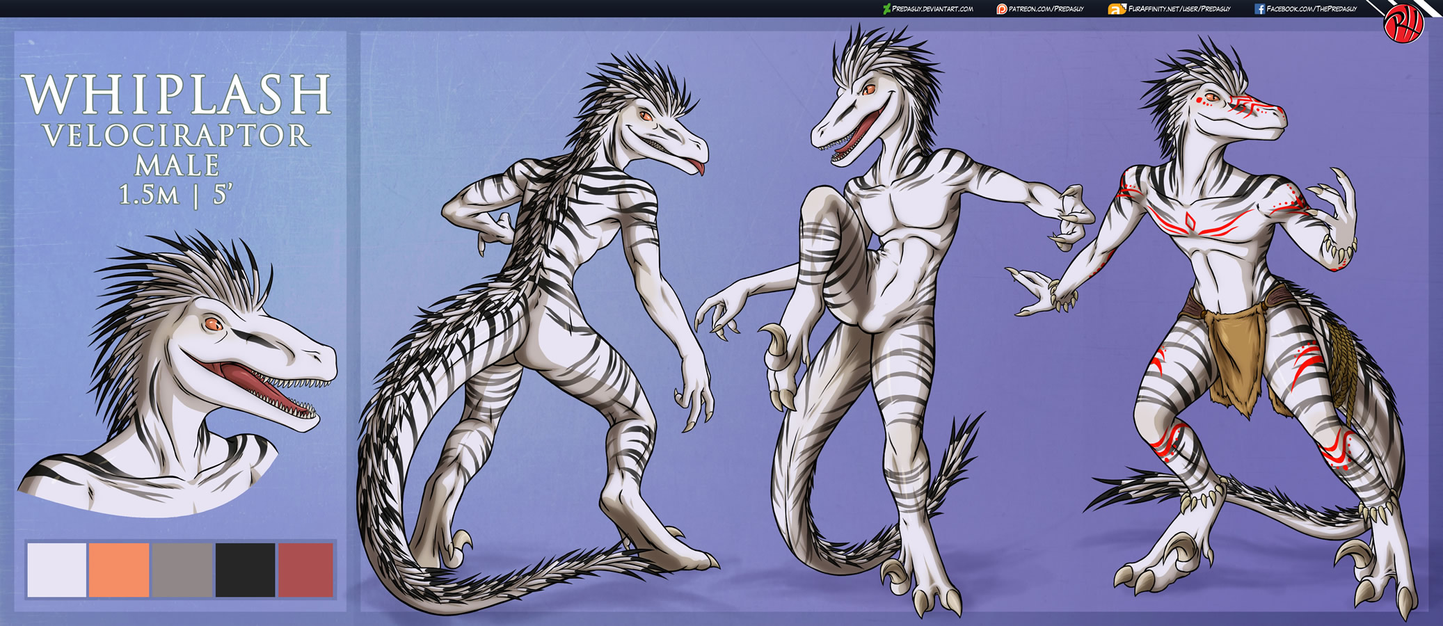 Whiplash Refsheet By Restrainedraptor On Deviantart