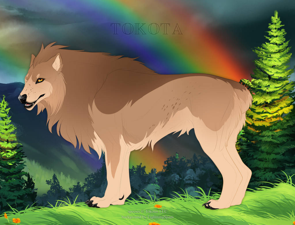 Id 62137 By Totemspirit On Deviantart