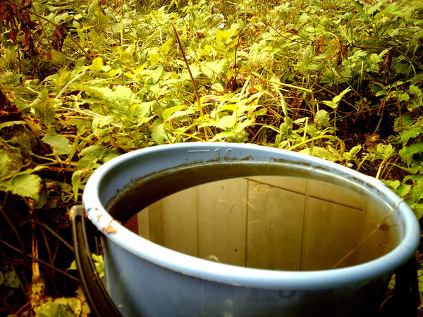 I Has A Bucket by Dookypoo on DeviantArt