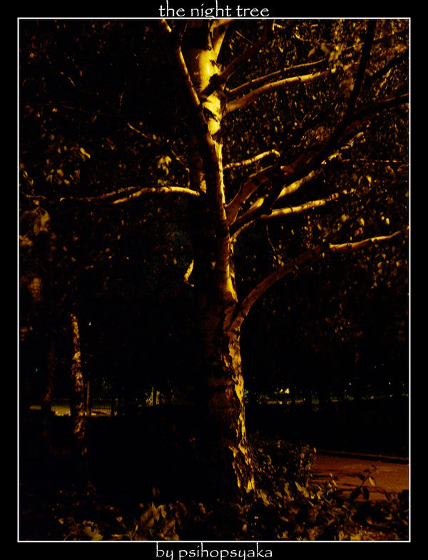 the night tree by PsihoPsyaka on DeviantArt
