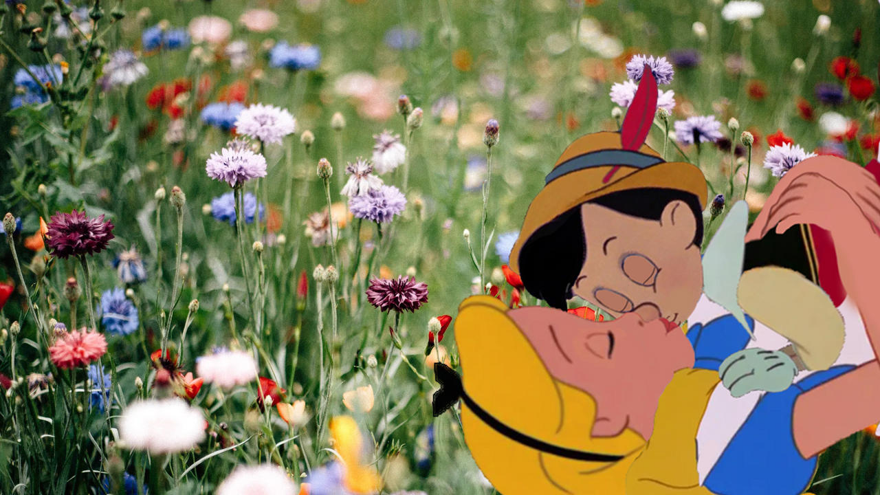 Pinocchio X Alice Kissing In A Garden By Motexter On Deviantart