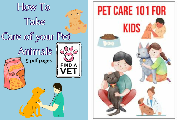 How to take care of your pet Animals(Pet care 101) by ASHSTYLE25 on ... How to take care of your pet Animals(Pet care 101) by ASHSTYLE25 on ...