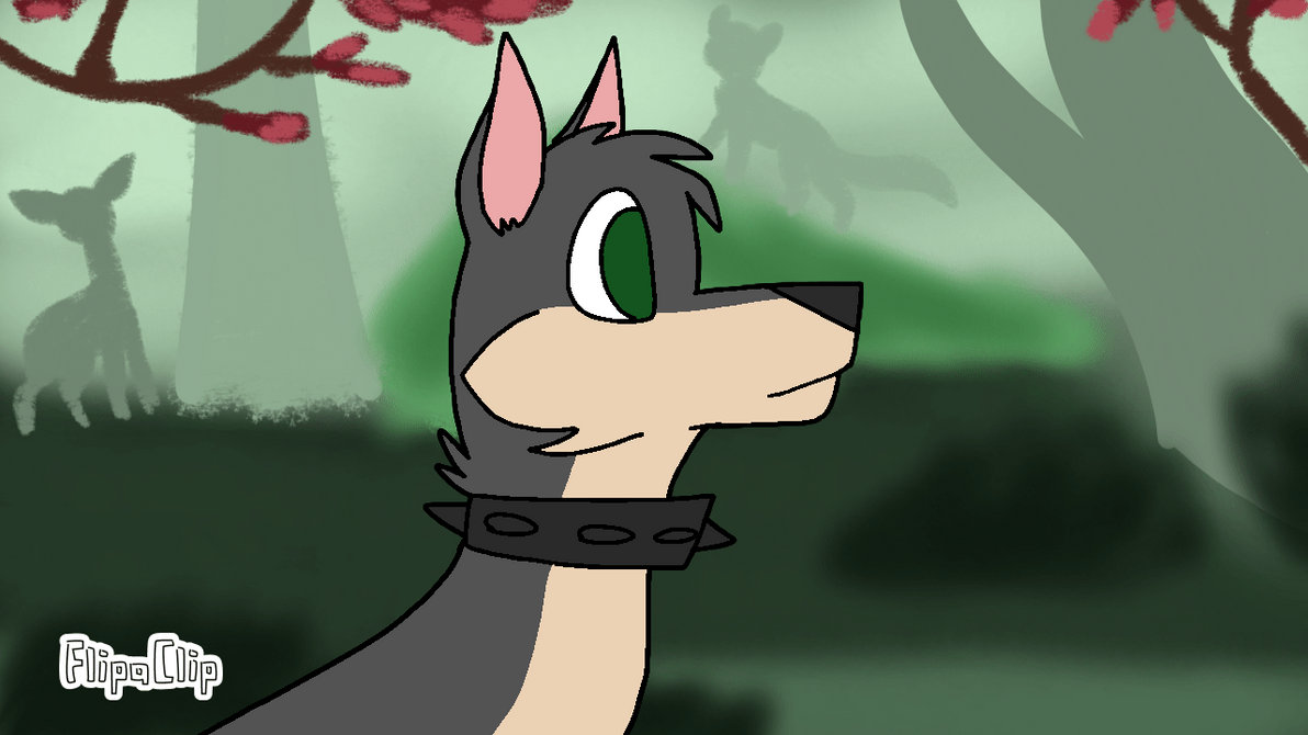 Animal Jam animation |1 by sylveon65yAJ on DeviantArt Animal Jam animation |1 by sylveon65yAJ on DeviantArt