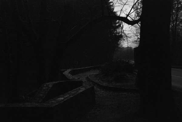 The Crooked Path by Chimp17 on DeviantArt