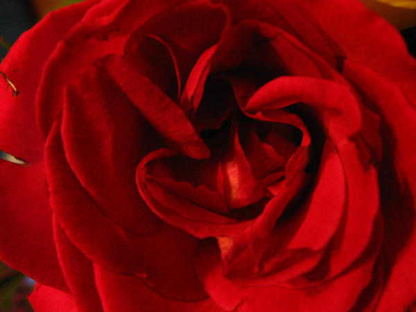 Red Barron by mysterious-maverick on DeviantArt