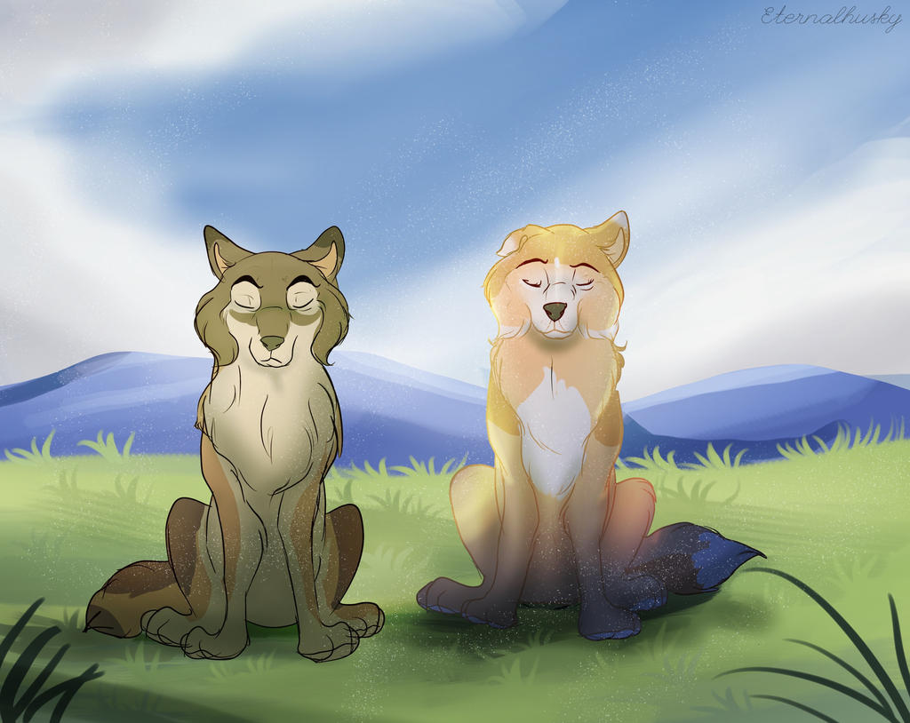Meditation By Aileea On Deviantart