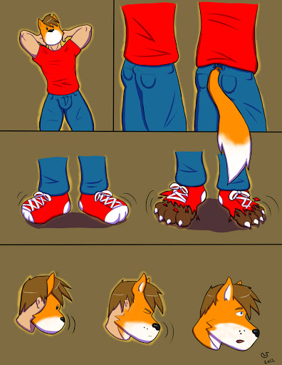 Fox Transformation By Yifanxu0428 On Deviantart