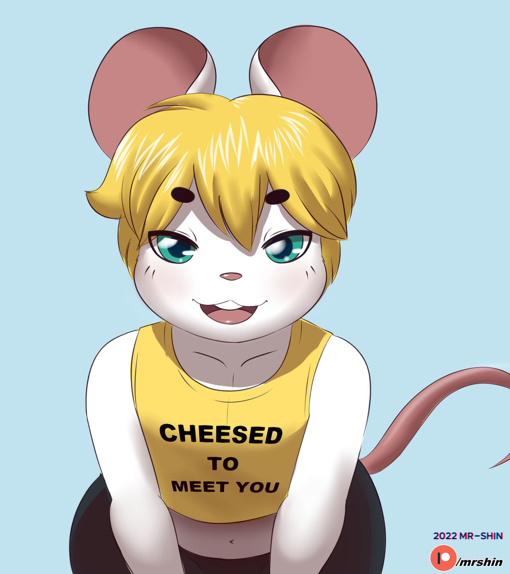Cheesed To Meet You By Mr Shin On Deviantart