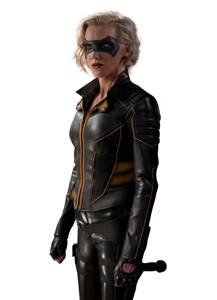 Black Canary Png By Superflashofficial On Deviantart