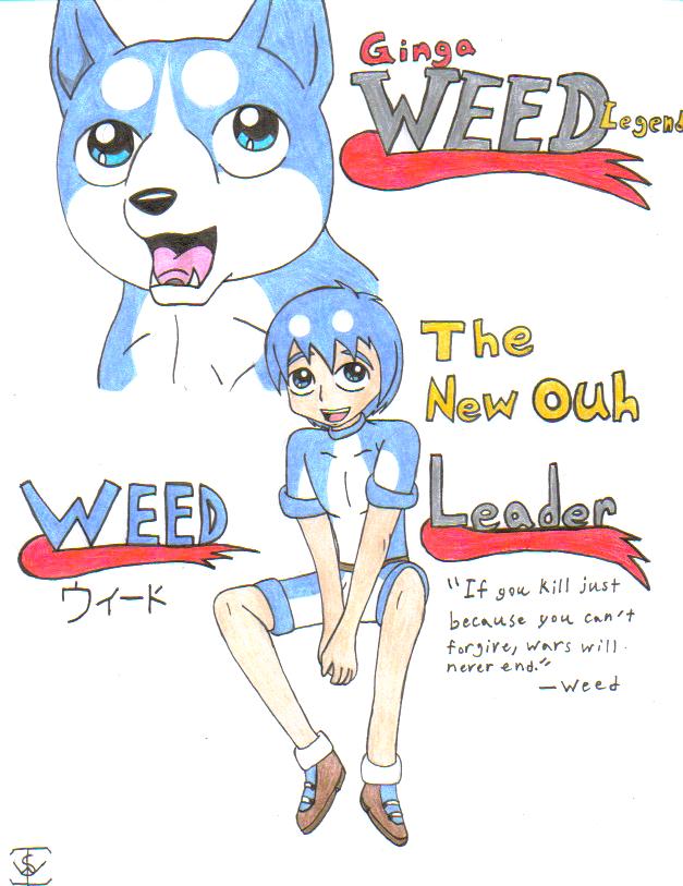 Human-Weed by GDW-FanClub on DeviantArt