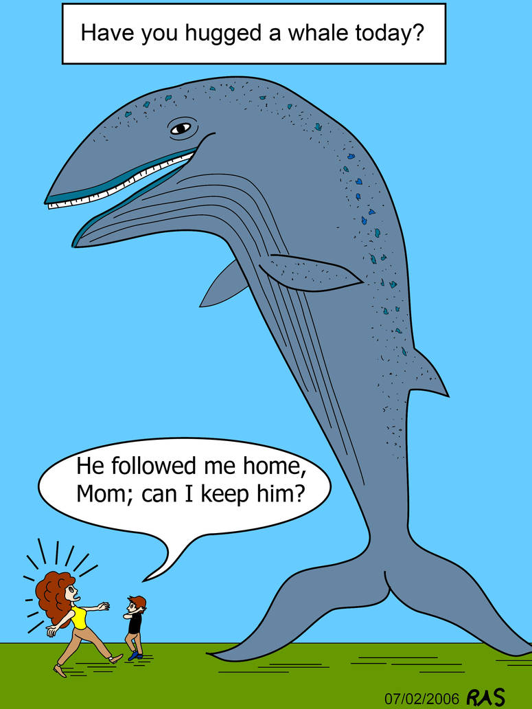 Whale Friend by duckstory on DeviantArt