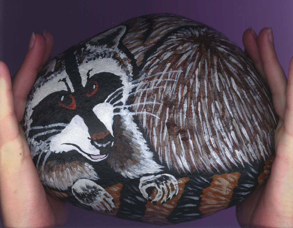 Raccoon Rock by 1984MLR on DeviantArt