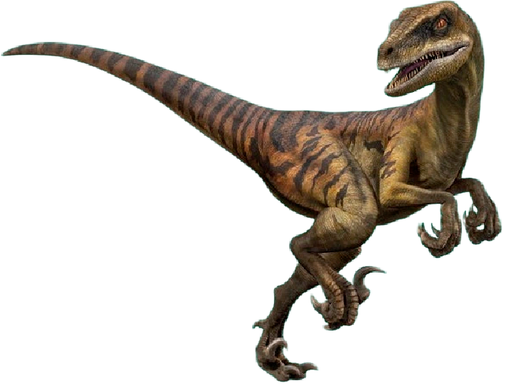 Velociraptor Echo Render By Jurassicworldcards On Deviantart
