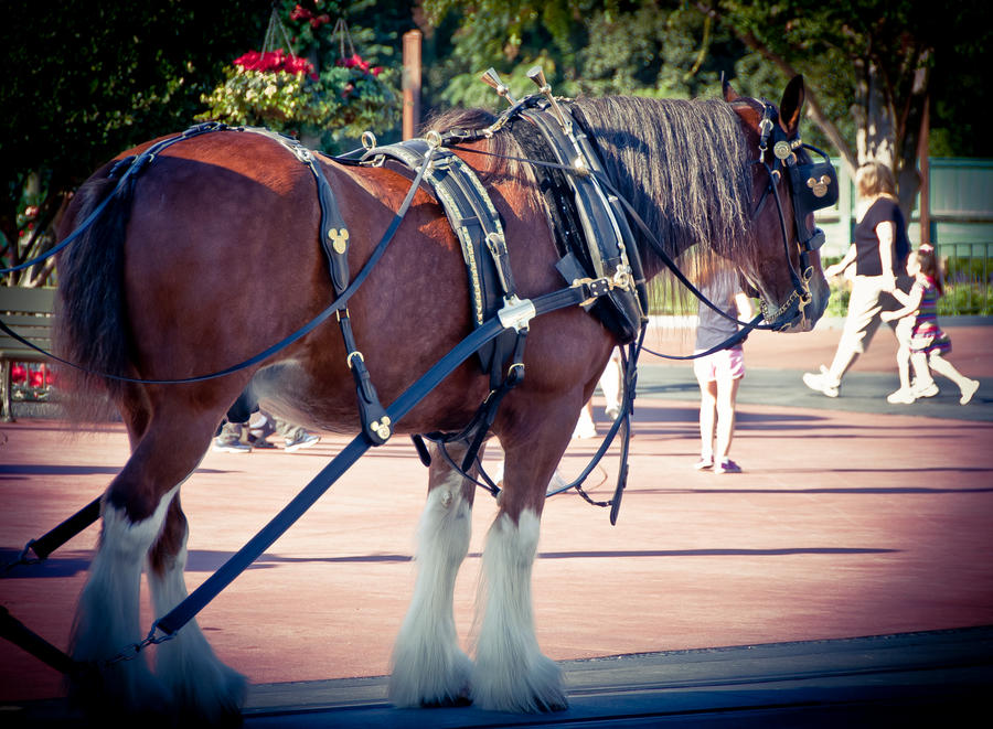 Vintage Horse By Tsa05 On DeviantArt vintage-horse-by-tsa05-on-deviantart