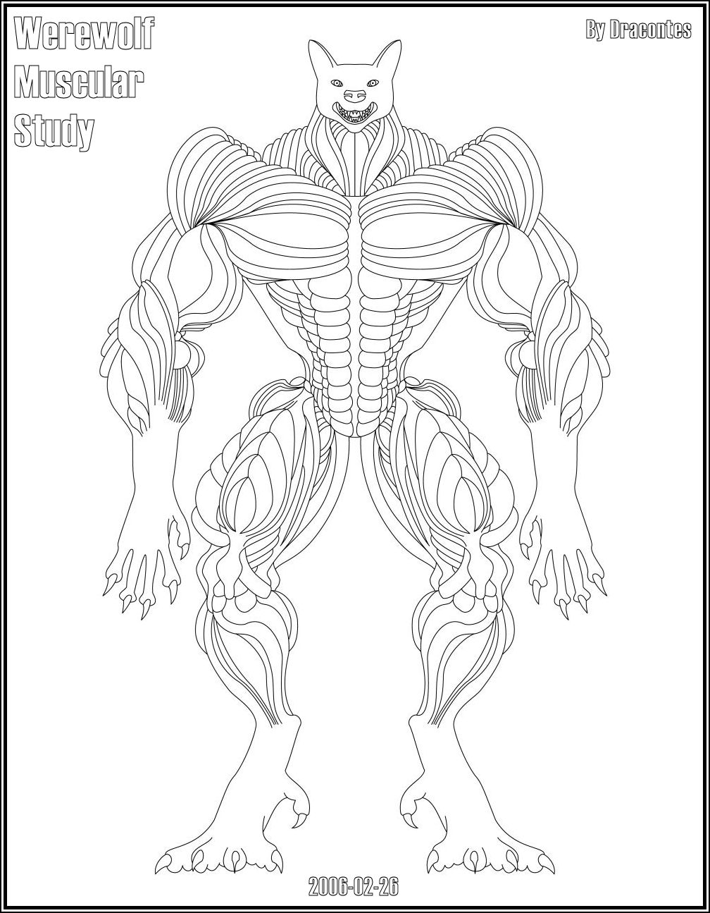 Werewolf muscular study by dracontes on DeviantArt