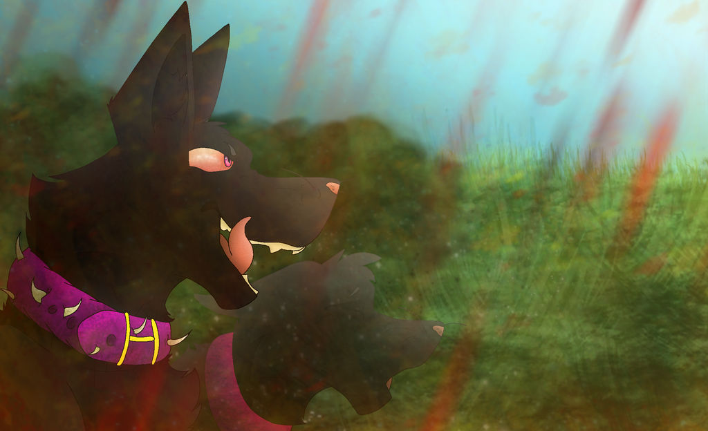 Scourge Warrior Cats By Flare Strikes31 On Deviantart