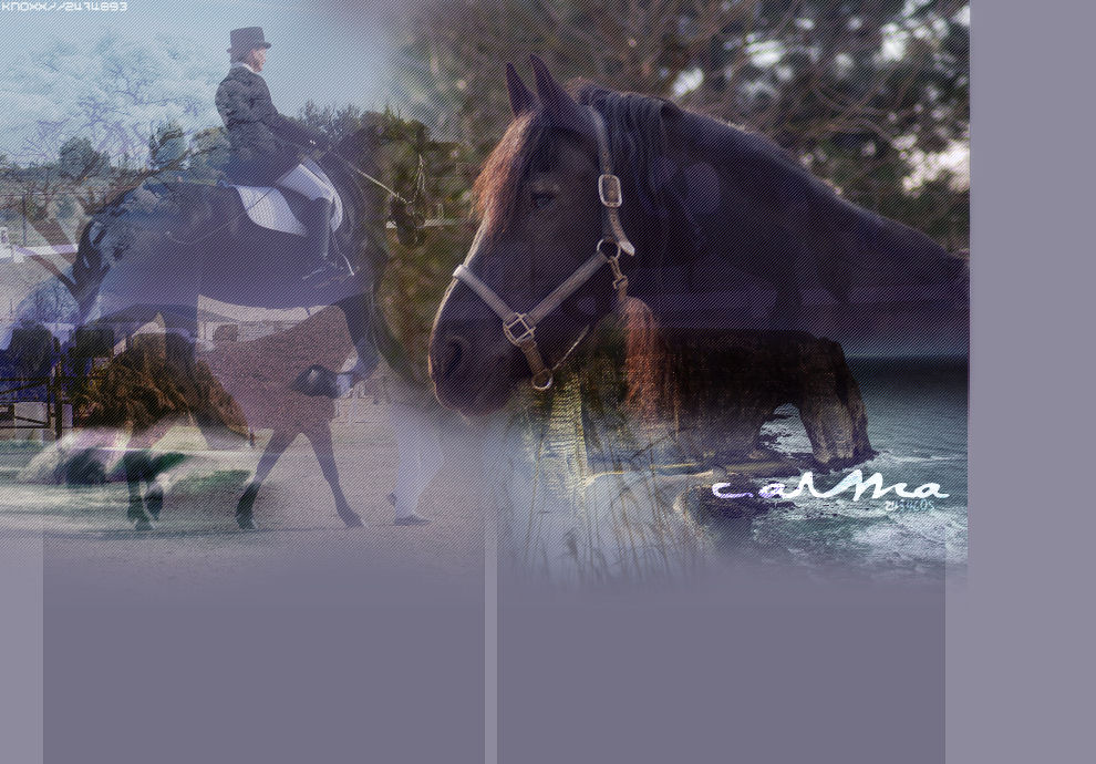 carma by knoxxdesign on DeviantArt