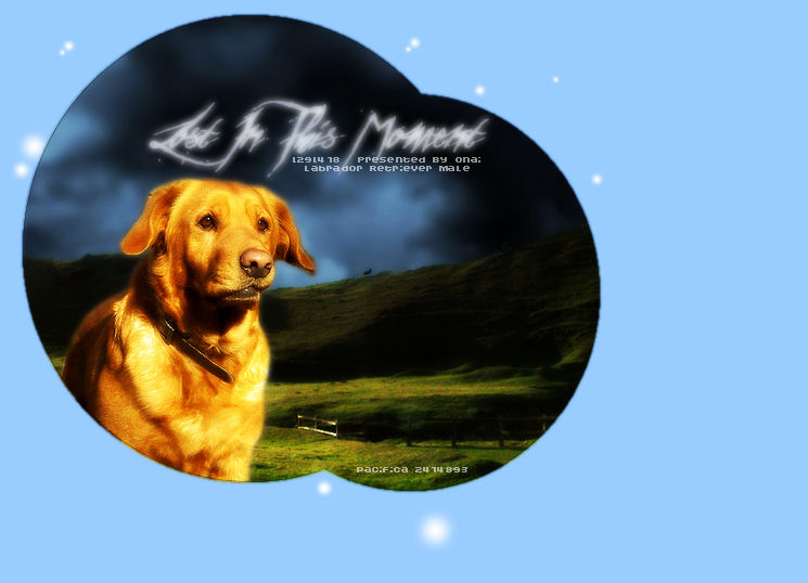 tyutyu by knoxxdesign on DeviantArt