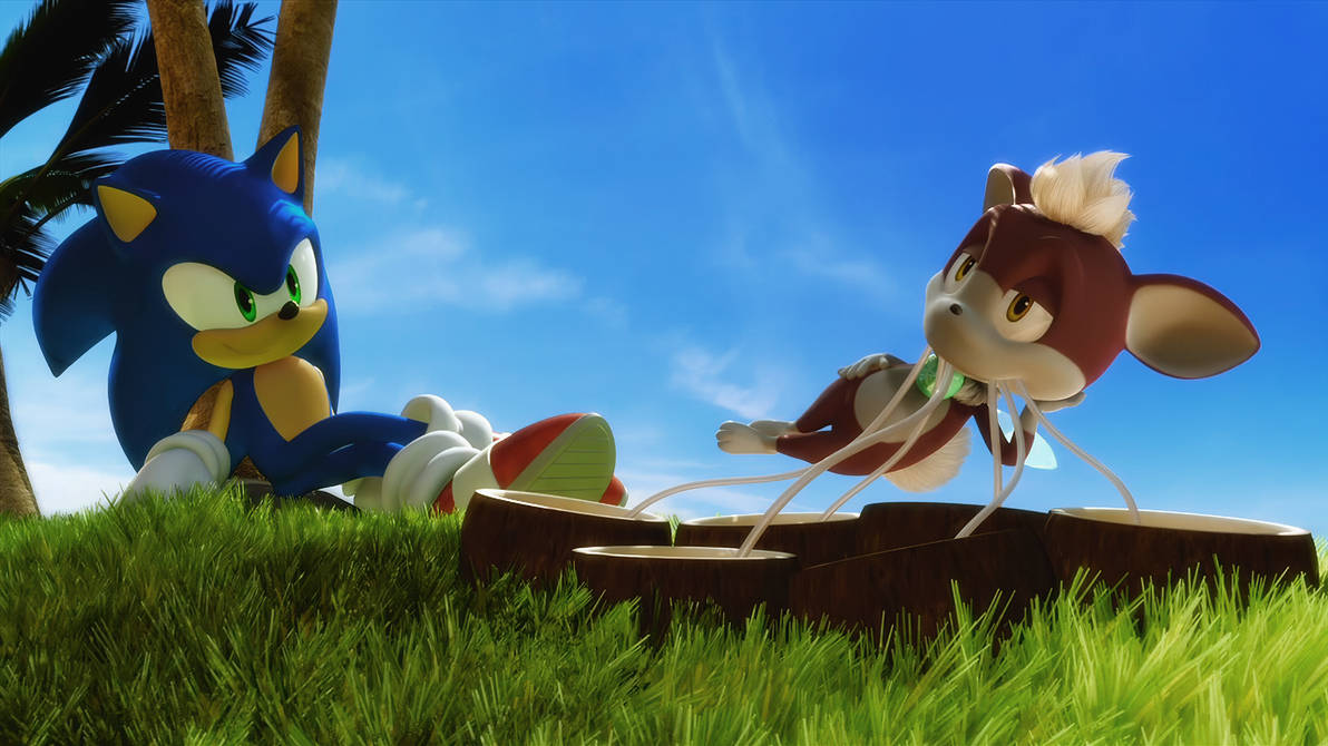 Sonic Unleashed Sonic And Chip By Sonicboomgirl23 On Deviantart