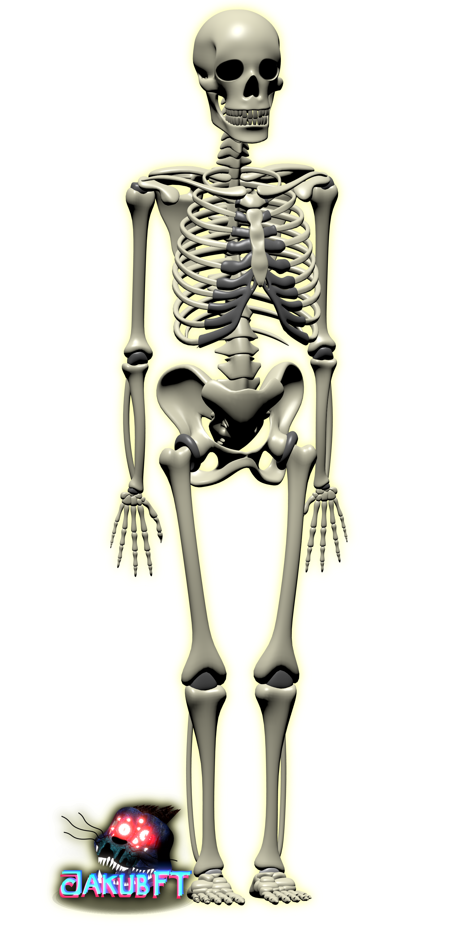 Skeleton Full Body By Jakub42042 Funtime On DeviantArt skeleton-full-body-by-jakub42042-funtime-on-deviantart