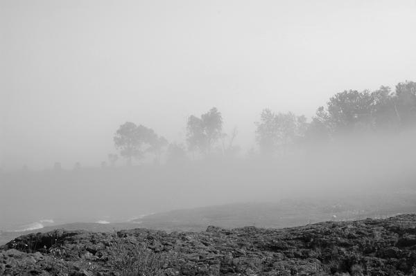 Rolling Mist by GuardianEarthstar on DeviantArt