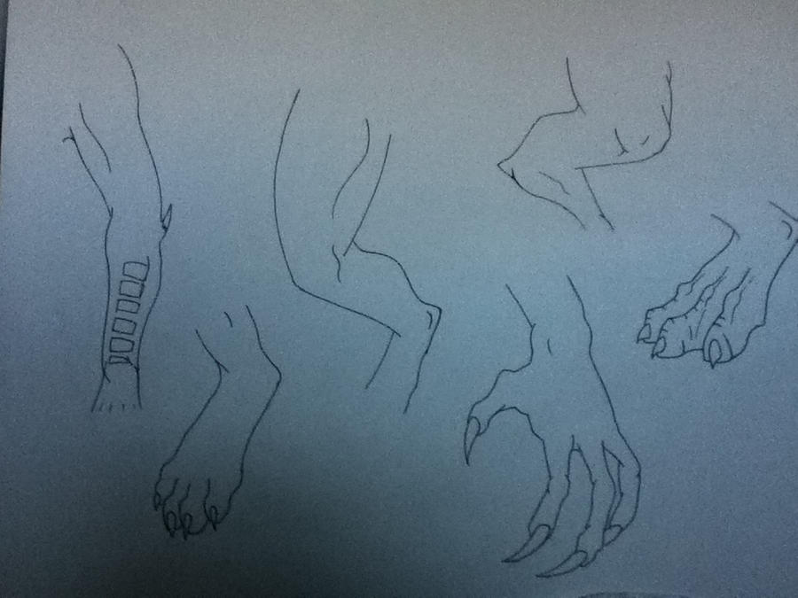 Dragon Limbs Drawing By FireBlood1 On DeviantArt dragon-limbs-drawing-by-fireblood1-on-deviantart