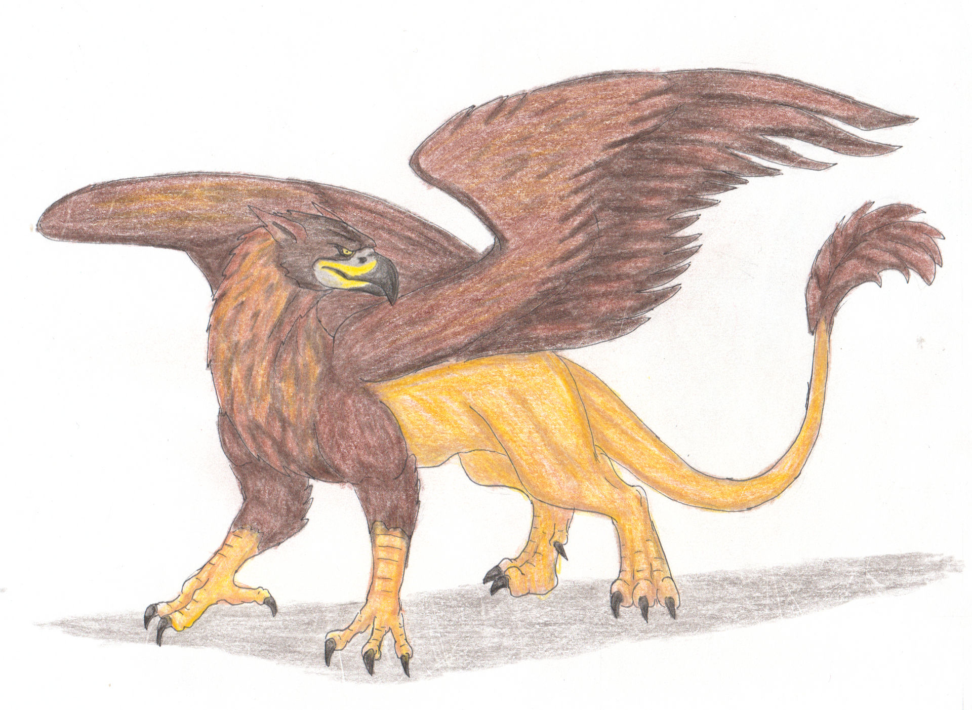 Bestiary: Gryphon by GavinoElDiabloGuapo on DeviantArt Bestiary: Gryphon by GavinoElDiabloGuapo on DeviantArt