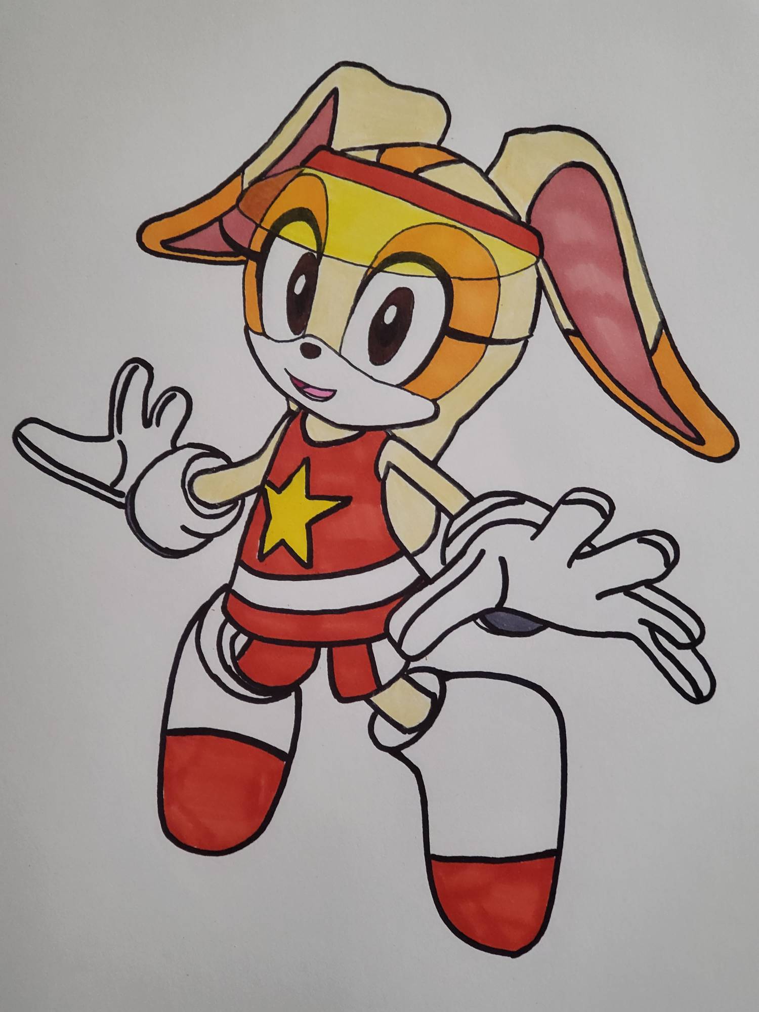 Cream The Rabbit Riders Outfit In Socks By Masaxmune23 On Deviantart