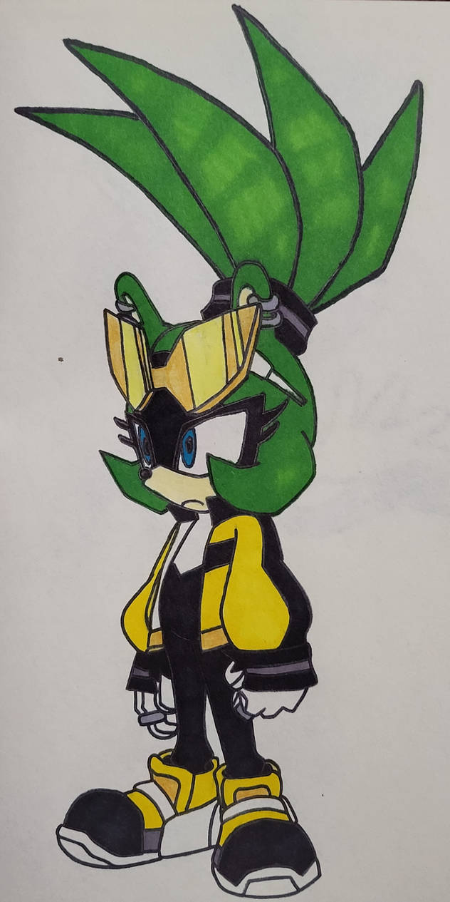 Surge The Tenrec Riders Outfit By Masaxmune23 On Deviantart
