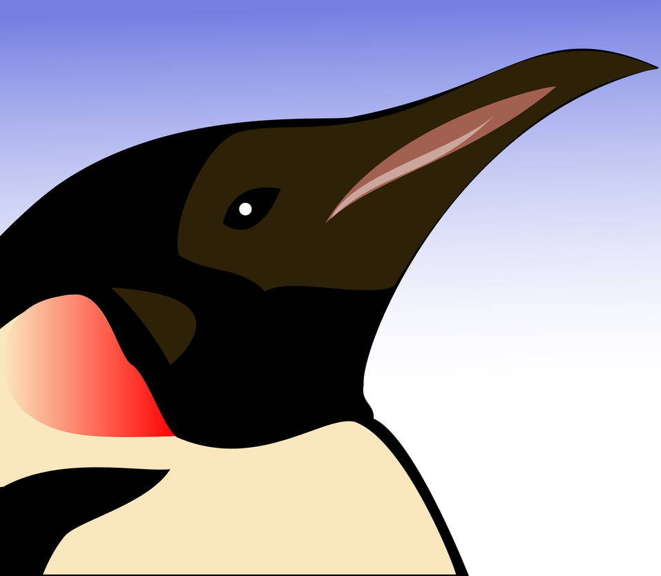 Pinguim by paulovitorfb on DeviantArt