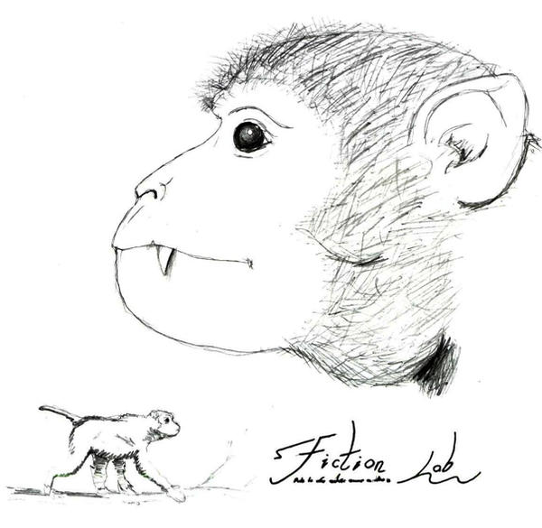 Aegyptopithecus Close up by Kawekaweau on DeviantArt