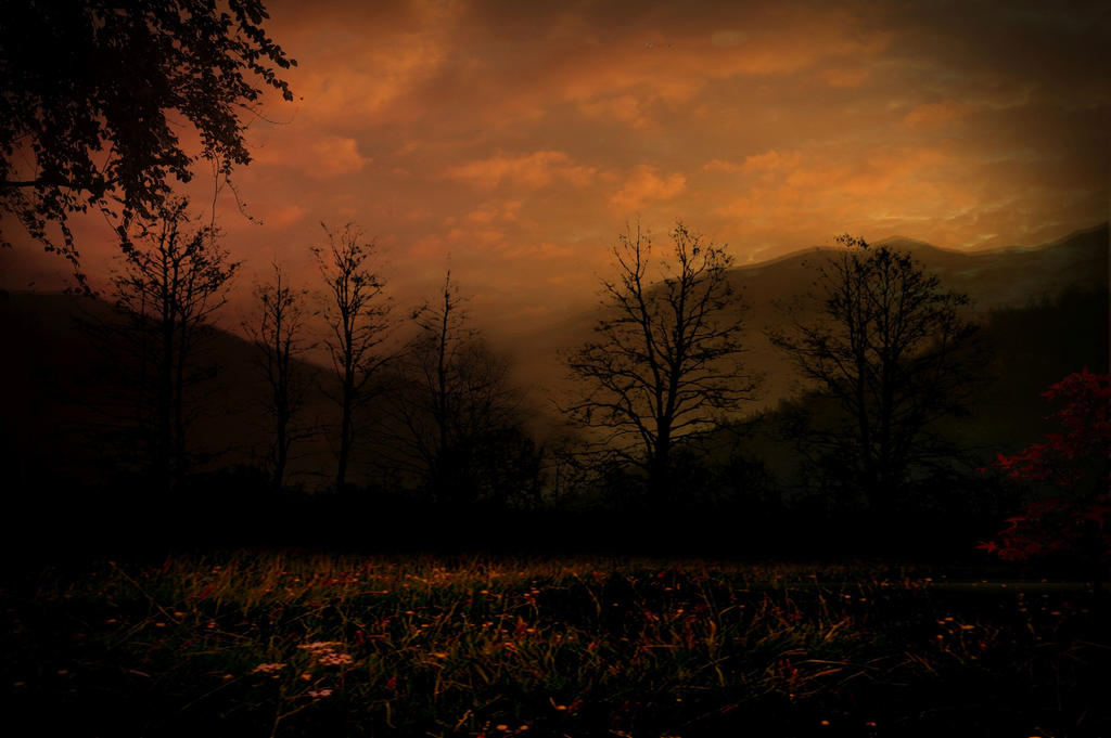 Twilight Ii By Manoluv On Deviantart