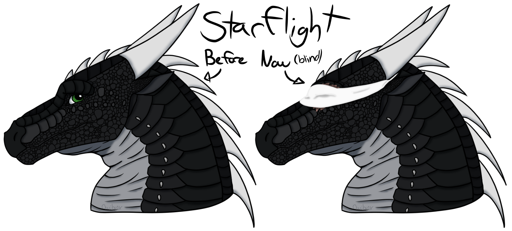 How To Draw Starflight From Wings Of Fire Graphic Novel - BEST GAMES ... How To Draw Starflight From Wings Of Fire Graphic Novel - BEST GAMES ...