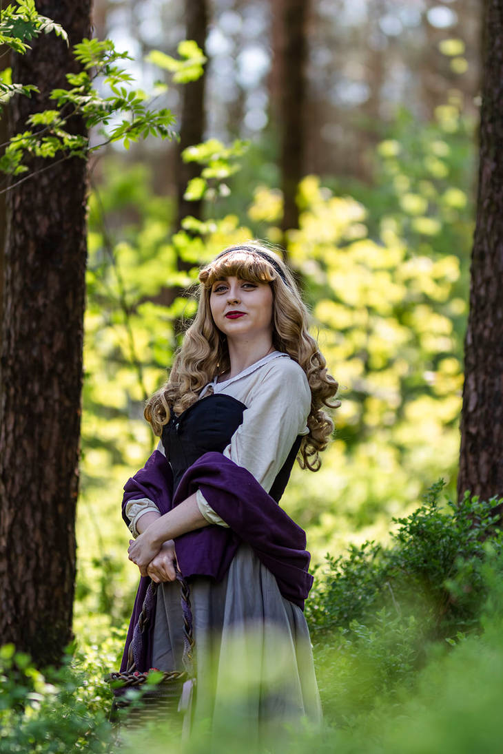 Briar Rose Sleeping Beauty 10 By Maestromus On Deviantart