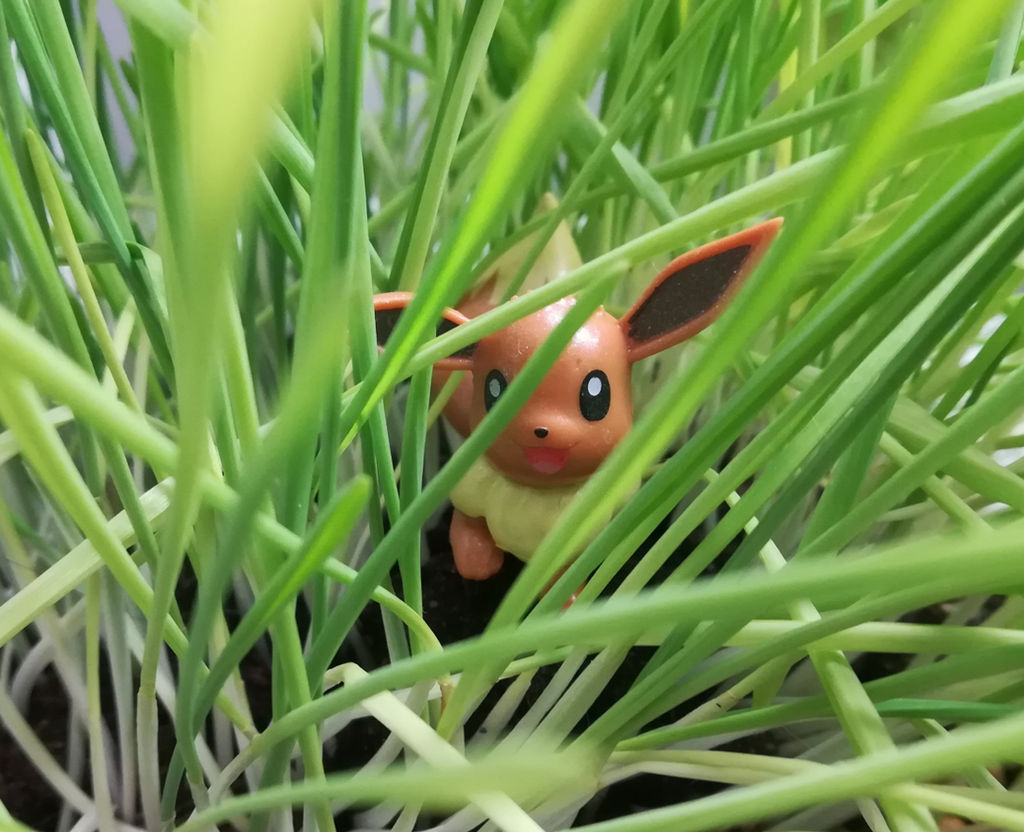 A wild eevee appeared by Twilightberry on DeviantArt A wild eevee appeared by Twilightberry on DeviantArt