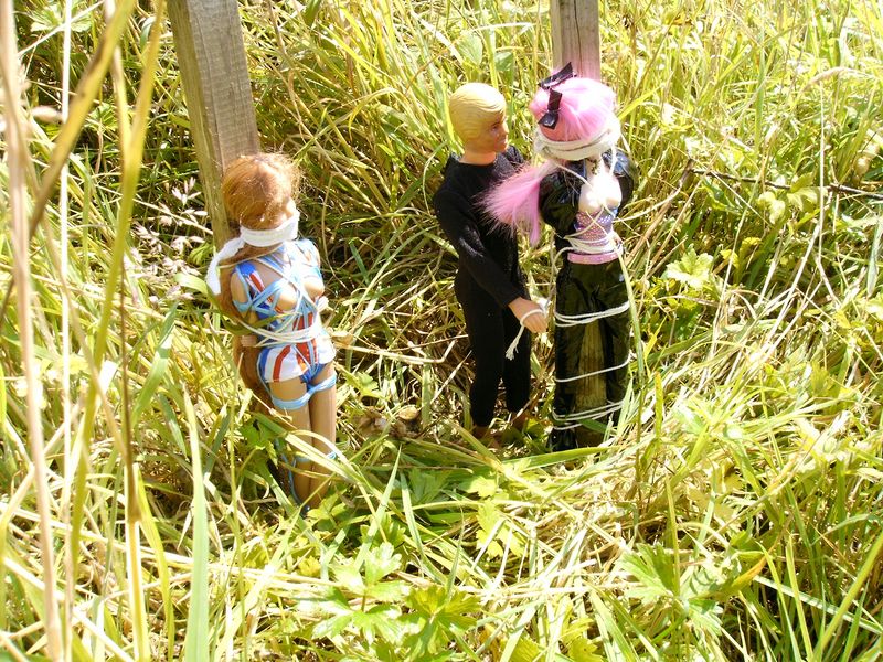 Barbie Bondage Outide Collecting By Samexit On Deviantart