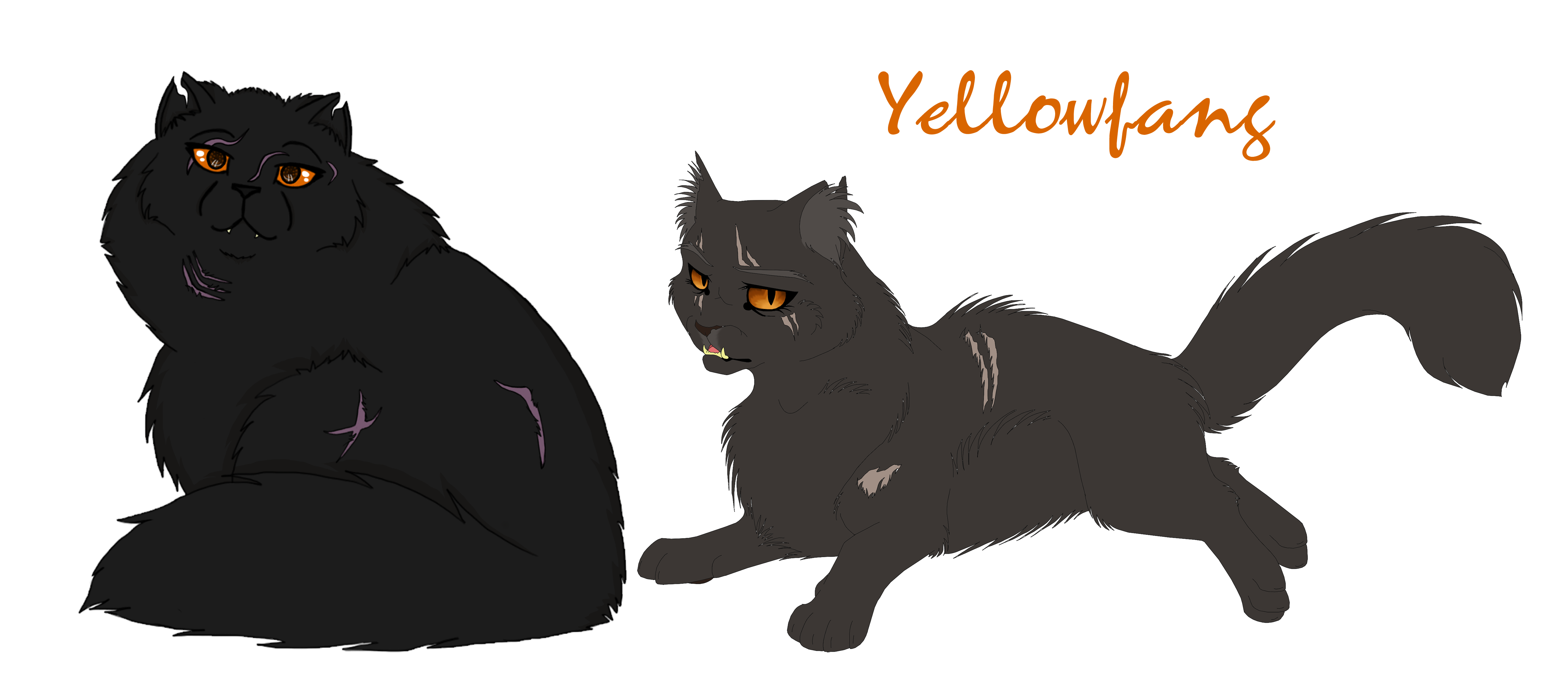 All Warrior Cats Challenge 2 Yellowfang By MediocrePotato On DeviantArt all-warrior-cats-challenge-2-yellowfang-by-mediocrepotato-on-deviantart