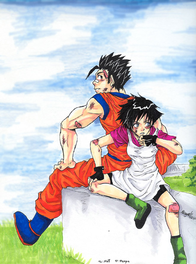 Gohan and Videl by Rakka-chan by Videl-Gohan on DeviantArt