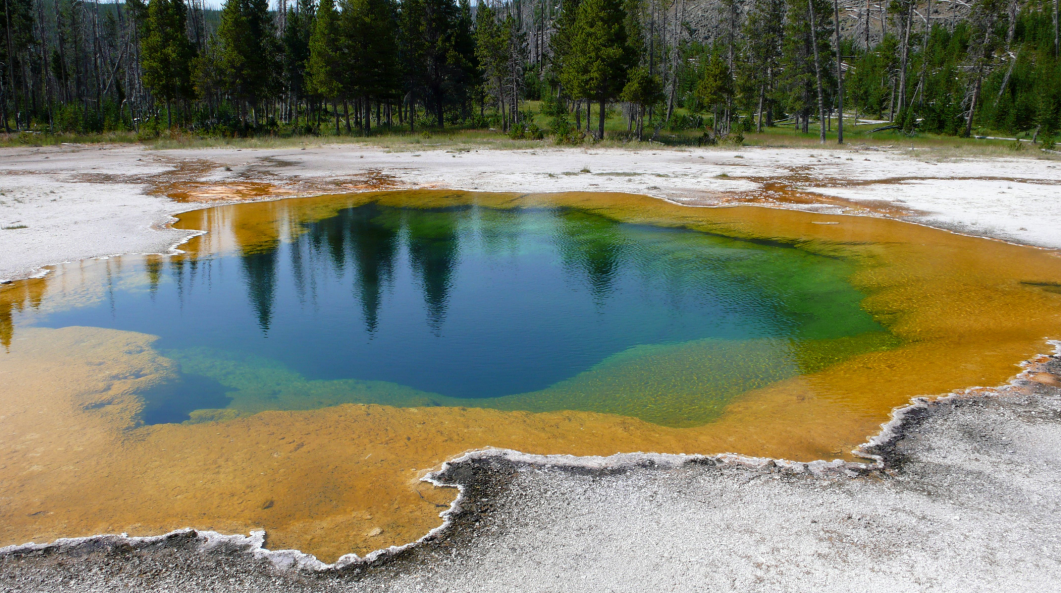 hot pond by Fishboneka on DeviantArt