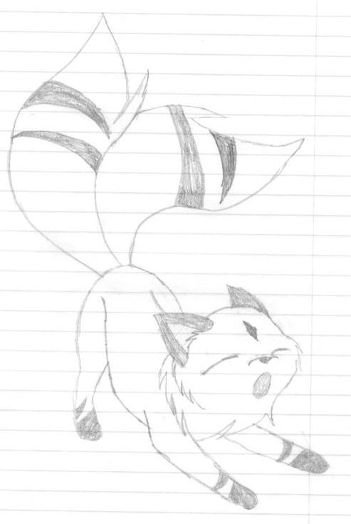Kirara 1 by wolfmoonlight on DeviantArt