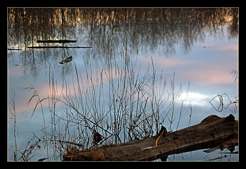 Reflecting on the lake by JDiPierro on DeviantArt