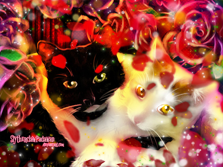 Honey Moon Kittehs By Slytherclawpadawan On Deviantart