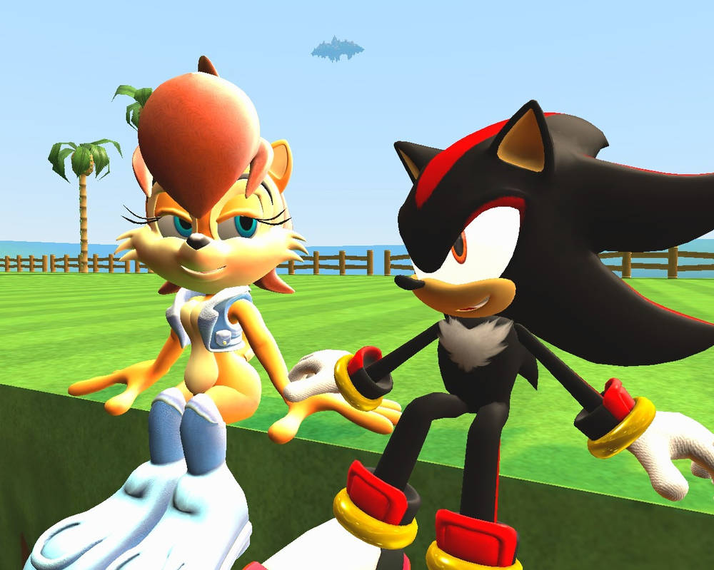Shadally Shadow And Sally By Sonichedgehog02 On Deviantart