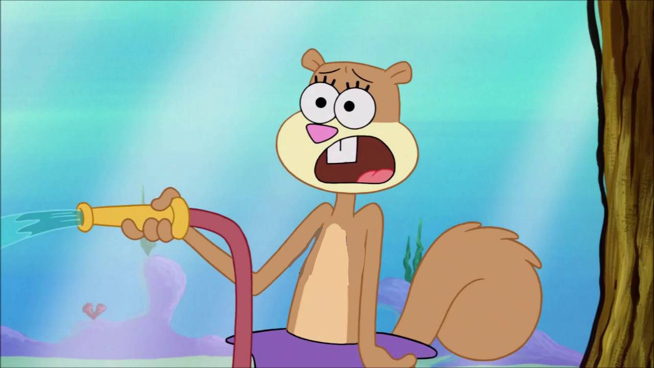 Sandy Cheeks Bra Off by minecraft104 on DeviantArt Sandy Cheeks Bra Off by minecraft104 on DeviantArt