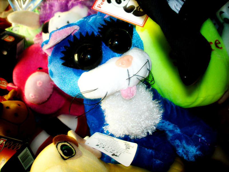 Small Plush Blue Latino Kitty by FlyingMohawk on DeviantArt
