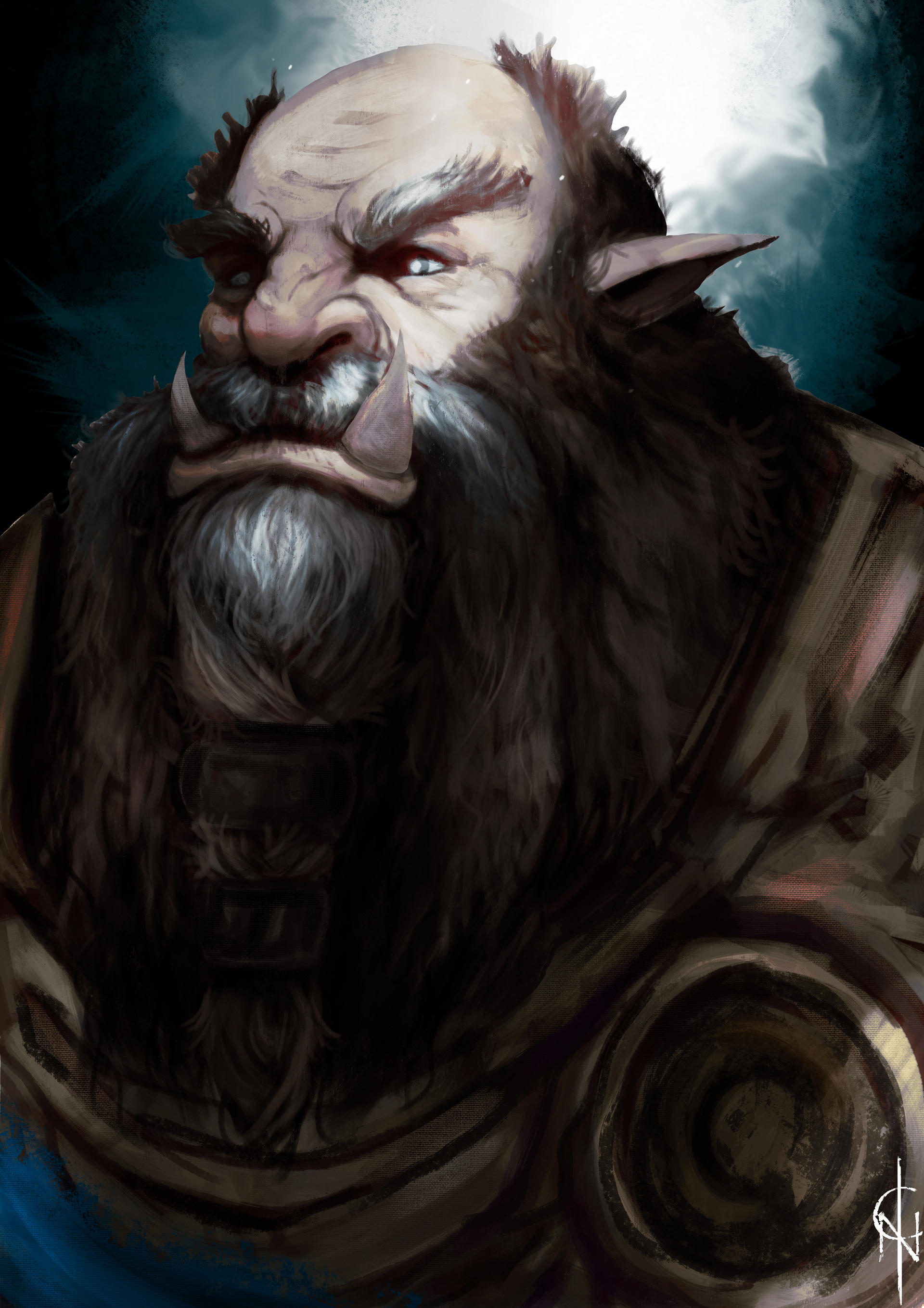 Half Dwarf By Chrisnazgul On Deviantart