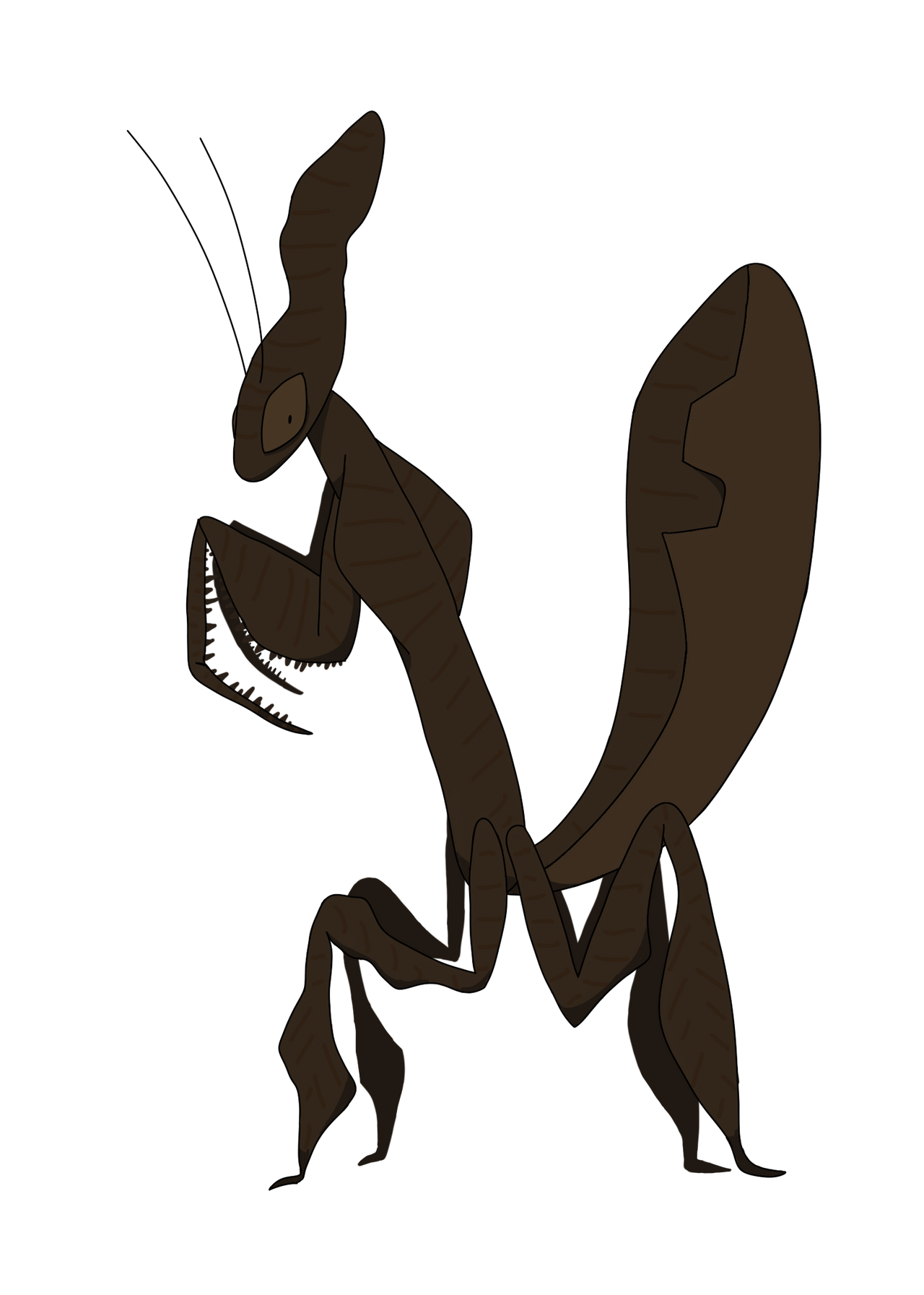 Ghost Mantis By Nibbledrake14 On Deviantart