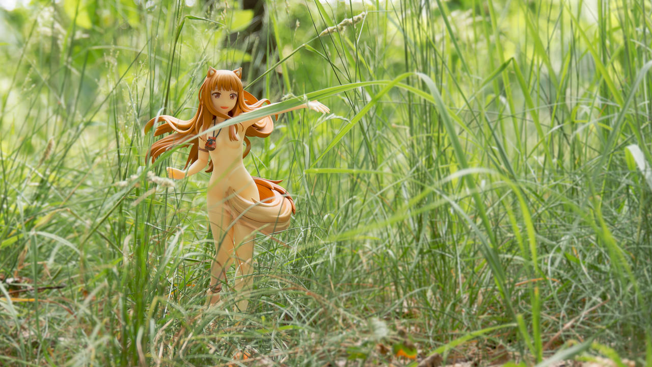 Holo Wise Wolf #17 by Kolezan on DeviantArt Holo Wise Wolf #17 by Kolezan on DeviantArt
