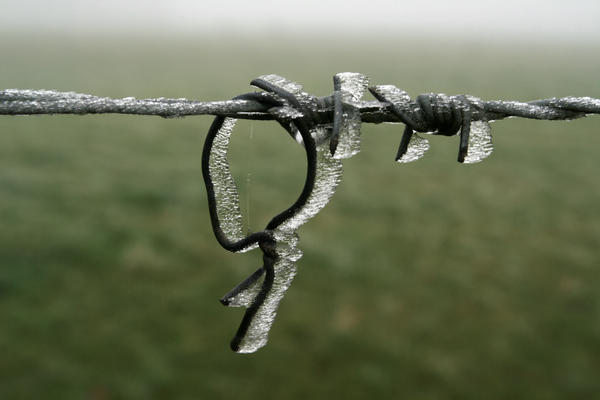 Frozen wire by palombian on DeviantArt